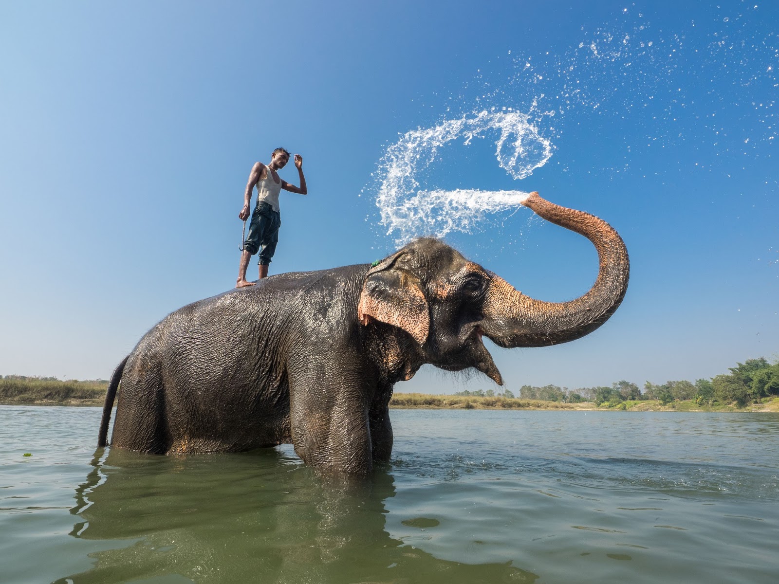 Spouting Off - The Steve Noble Podcast